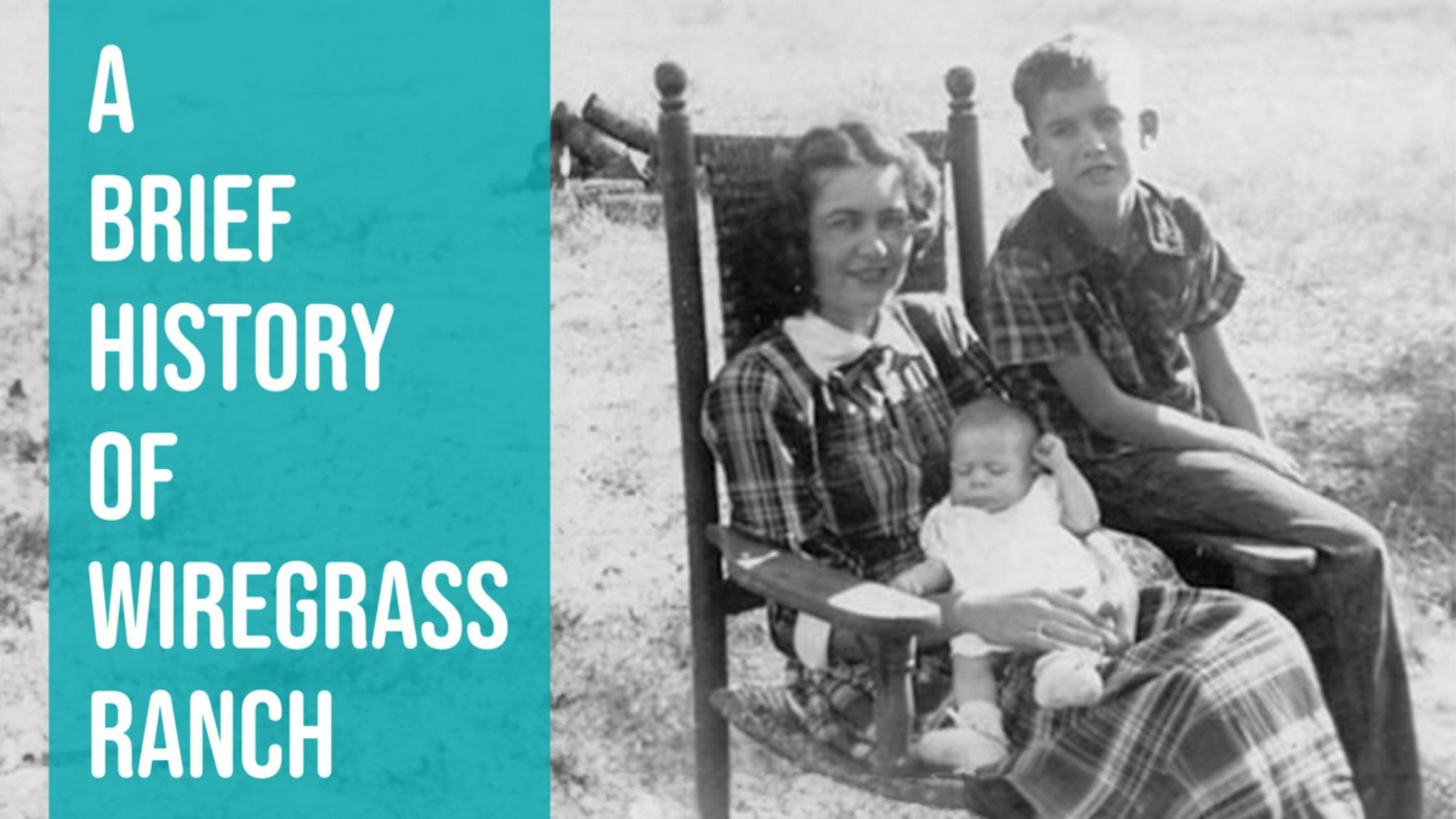 Persimmon Park At Wiregrass Ranch: A Family Legacy | ICI Homes ...