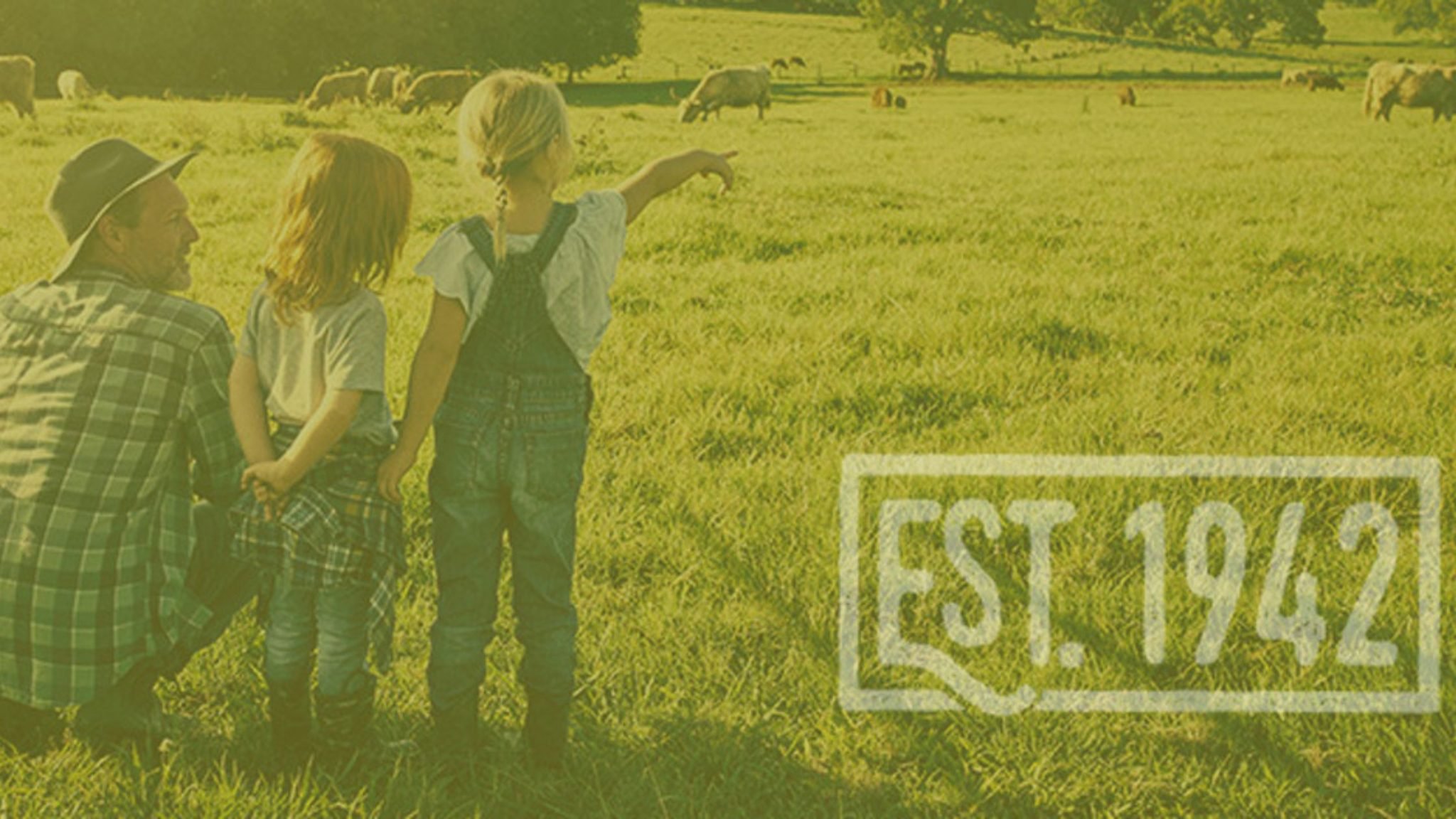 Persimmon Park At Wiregrass Ranch: A Family Legacy | ICI Homes ...