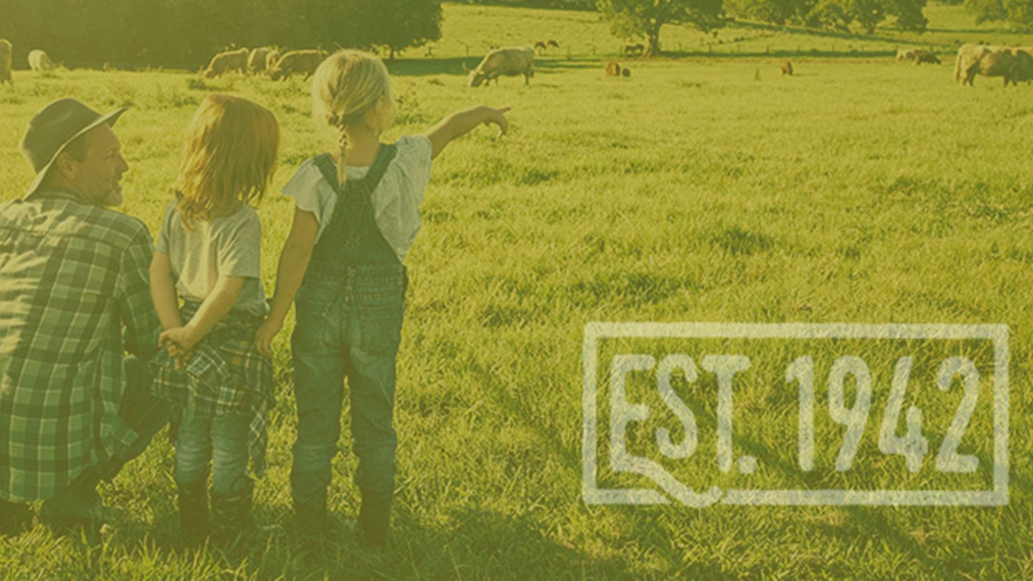 Persimmon Park: Future Planning For Legacy Wiregrass Ranch | ICI Homes ...